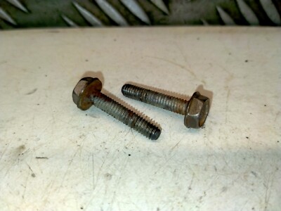 Briggs 12,5 Hp I/C Quiet 286707 - 2 vis de fixation de la bobine ref ...