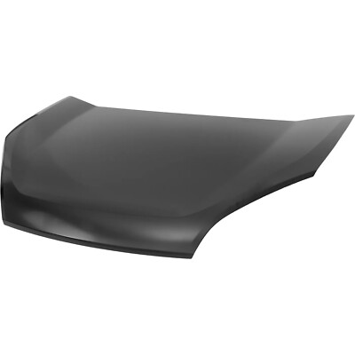 Hood Fits 2015-2022 Ram ProMaster CH1230313 | eBay