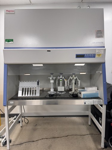 Thermo Scientific 1300 Series Class II A2 5ft Biological Safety Cabinet ...