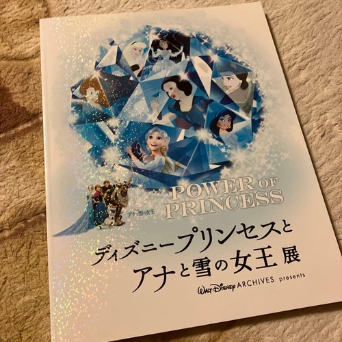Disney Princess & Frozen Art Brochure with Hologram Cover Used | eBay