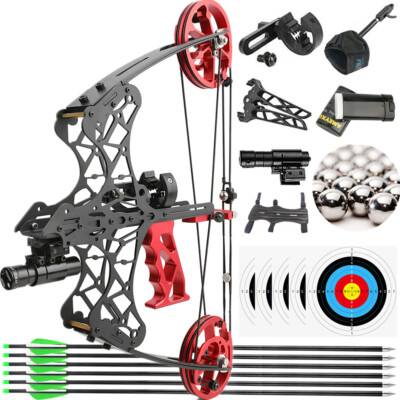 Mini Compound Bow Set Archery Dual-use Steel Ball 40lbs Hunting ...
