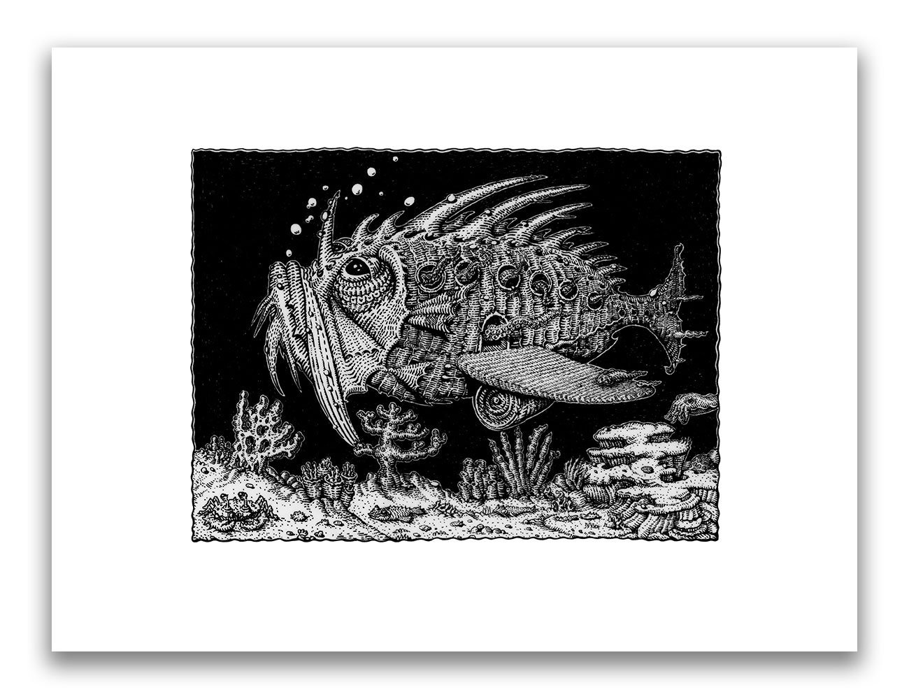 David Welker Phish Transport Fish The Nose Knows Spusta Under the ...