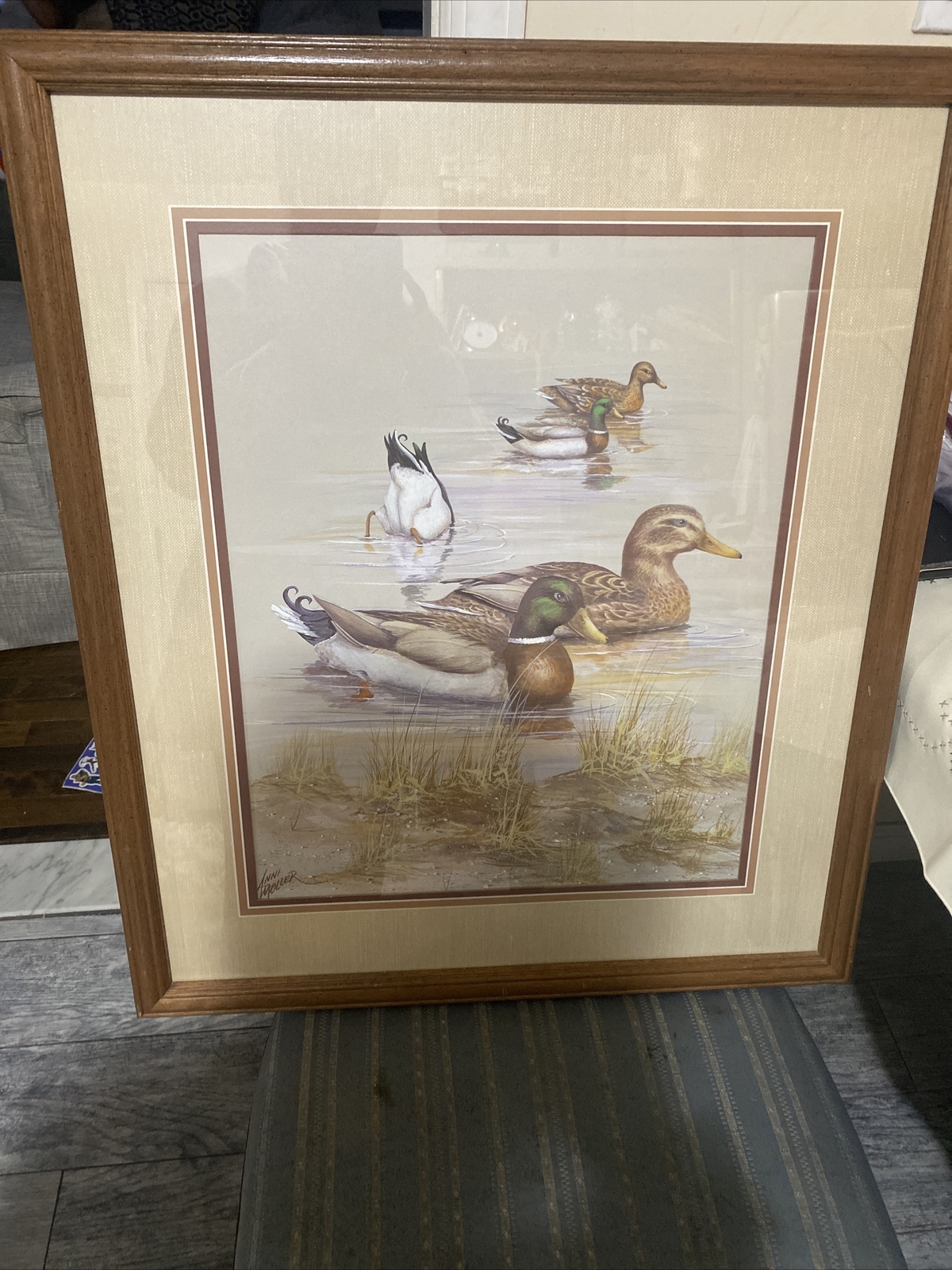 Vintage Mallard Duck Print Signed Anni Moller Framed Matted 28” X 24 ...