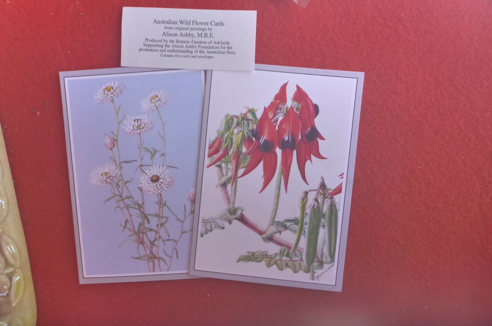 SET OF AUSTRALIAN WILD FLOWER CARDS ADELAIDE BOTANIC GARDENS ALISON ...
