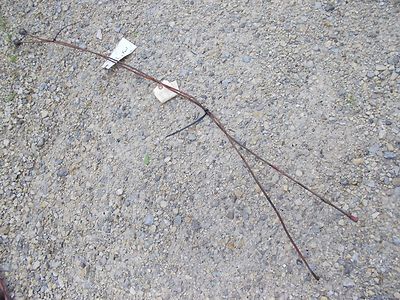 Farmall IH IHC WD9 WD 9 tractor linkage control fuel & choke rod rods w ...