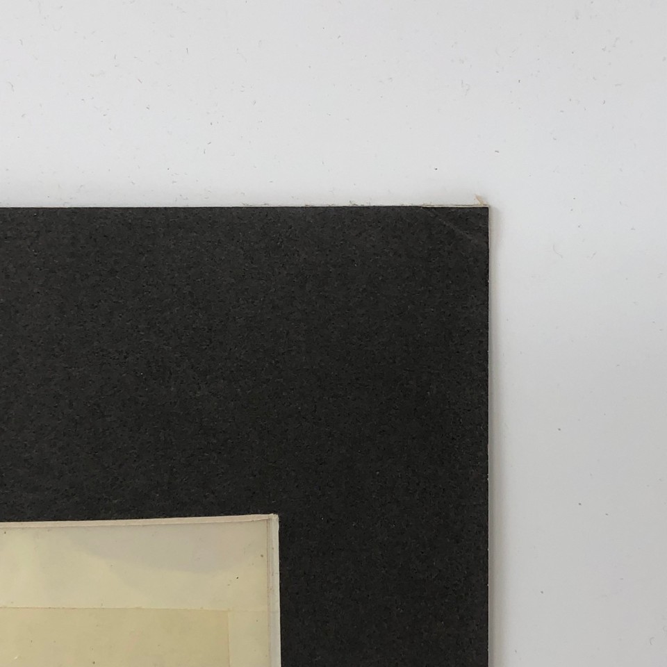 Reed Waller Acetate Art 1990 Omaha Cat Pin-Up Animation Cell SIGNED ...