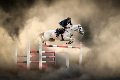 Fototapete VLIES-PFERDE SPRINGEN-(6369S)-Tier Sport Reiterei Tapete ...