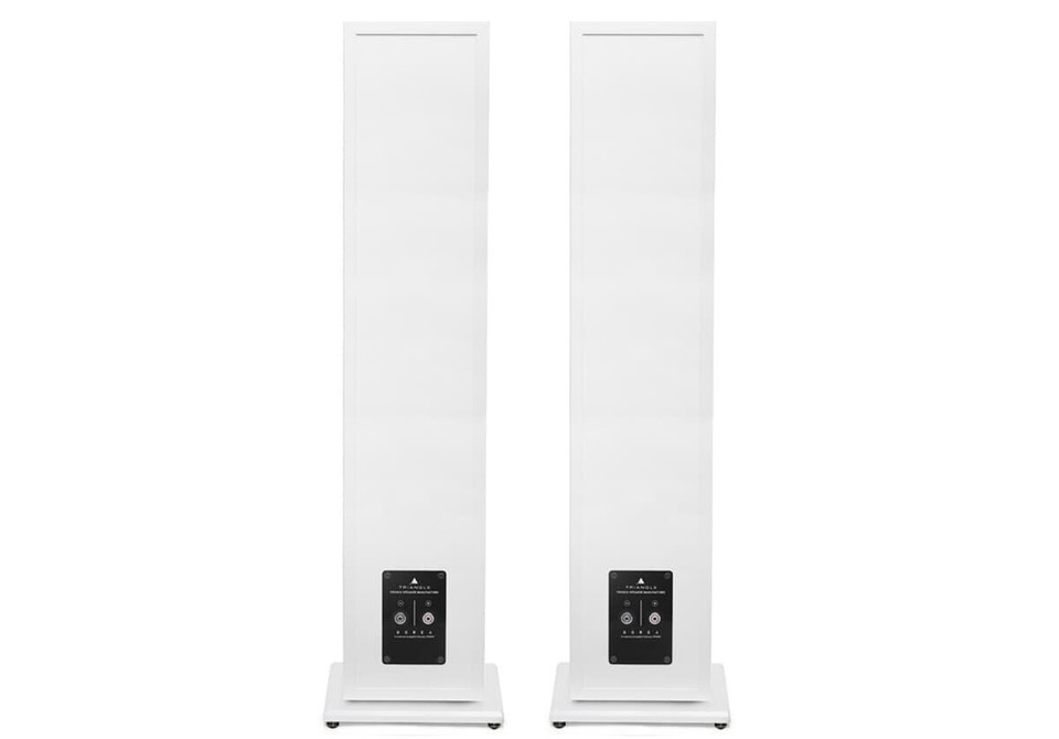Triangle Borea BR07 Floorstanding Speakers White (Pair) | eBay UK