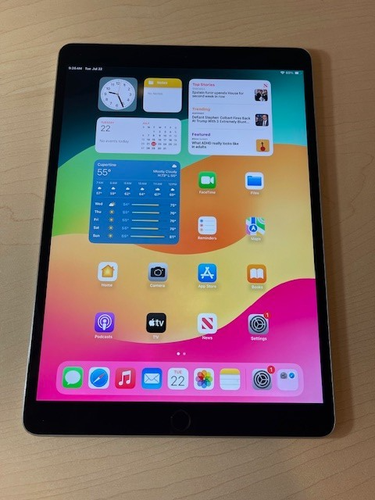 Apple iPad Pro 10.5 A1709 256 GB, Wi-Fi + Verizon, 10.5 in. Screen burn ...