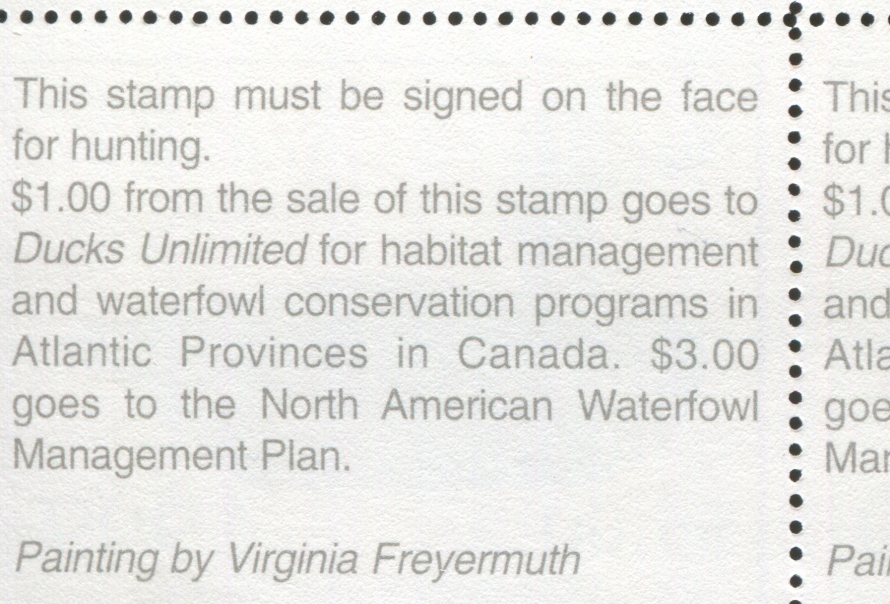 MASSACHUSETTS #26 1999 STATE DUCK OLD SQUAW DECOY by Virginia ...