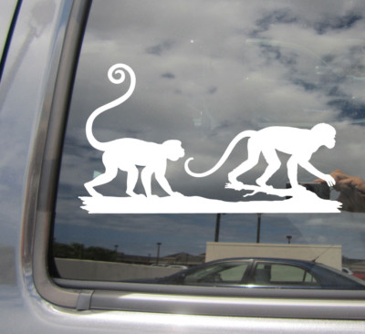 Squirrel Monkeys - New World Car Laptop Bumper Window Vinyl Decal ...