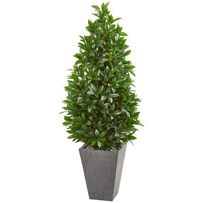 57-in Bay Leaf Cone Topiary Tree in Slate Planter UV Resistant (Indoor ...