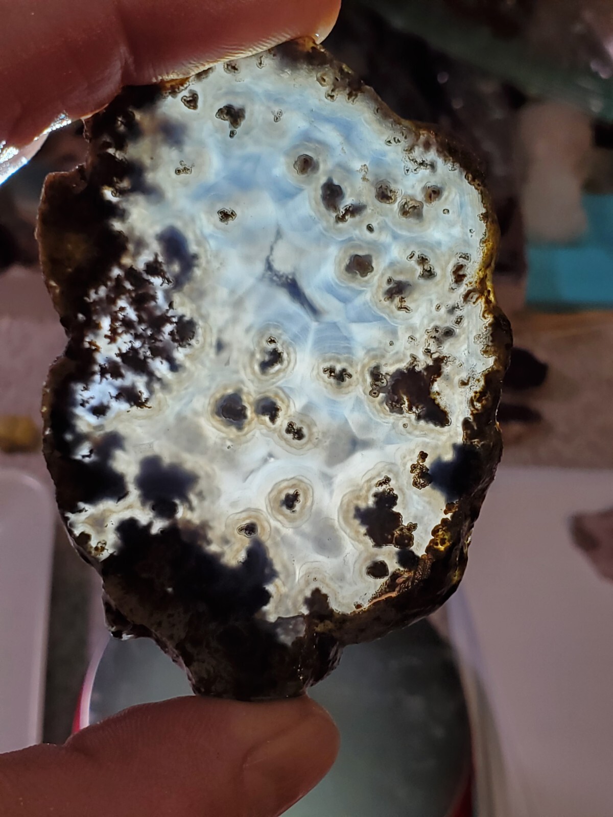 2 Woodward Ranch Pom-Pom Tube Plume Agate Rough Alpine Texas 92g | eBay