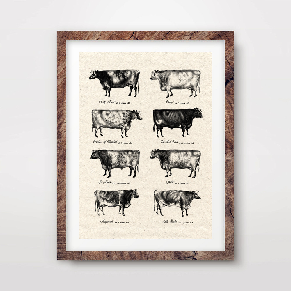 Large Vintage Cattle Auction Poster