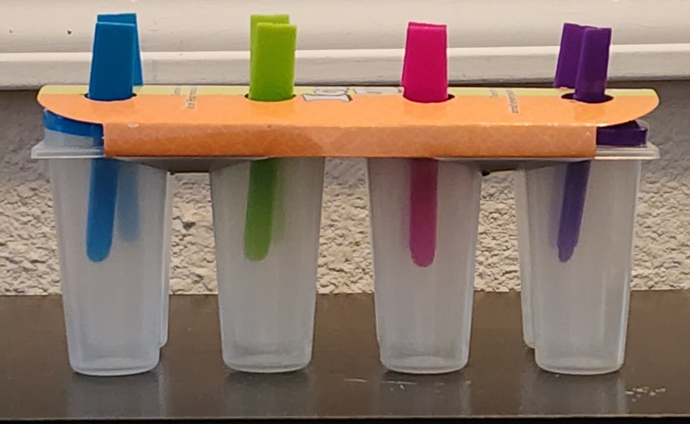 Ice Pop Tray | eBay