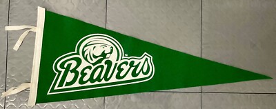 Bemidji State Beavers wool NCAA Pennant | eBay