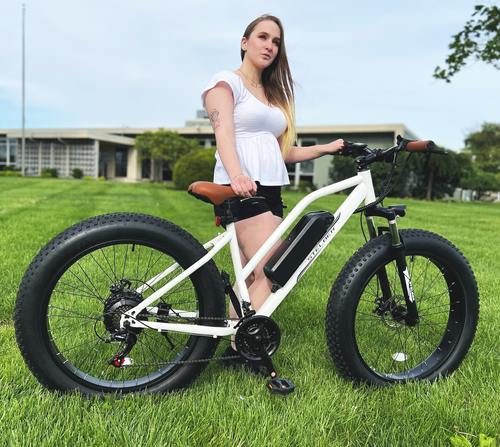 Stelber Crusade 48V 500W Fat-Tire Ebike Electric Bike LG Shimano ...