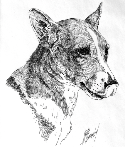 Laughlin 70s Pen Ink Pet Drawing Art MCM Retro 12x9” Dog Basenji Puppy ...