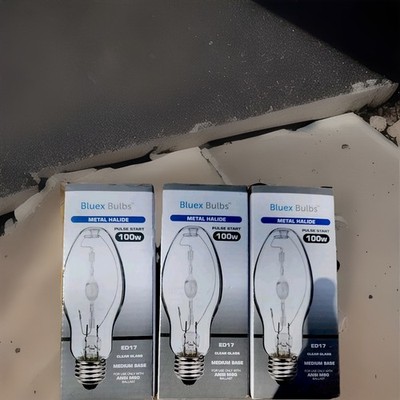 Bluex Bulbs Metal Halide MH100/U/MED 100w ED17 9000 Lumens Life 12,000 ...
