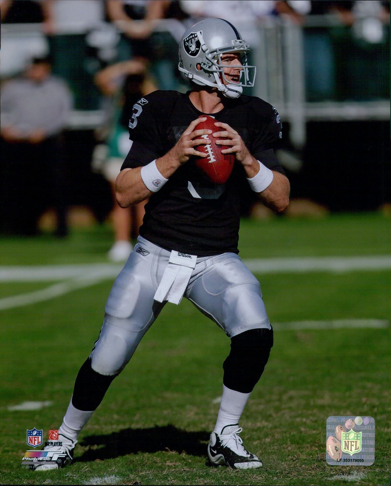 Carson Palmer Oakland Raiders NFL Licensed Unsigned Glossy 8x10 Photo B ...
