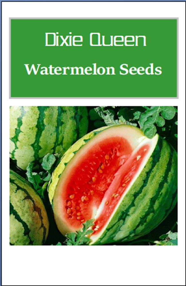 Dixie Queen Watermelon Seeds | NON-GMO Watermelon Seeds | Heirloom ...