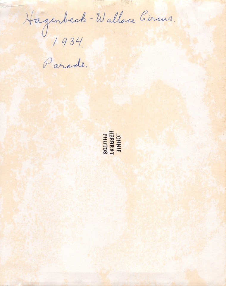 Hagenbeck Wallace Circus Birmingham Alabama Parade 1934 - Original ...