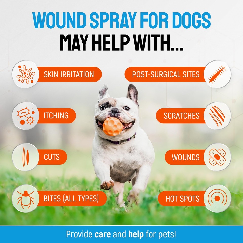 Hot Spot Treatment for Dogs – Silver Wound Spray Helps with Irritation ...