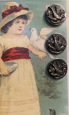 Set of 3~ Antique Vintage 5/8" French Metal Victorian Bird Buttons NOS ...