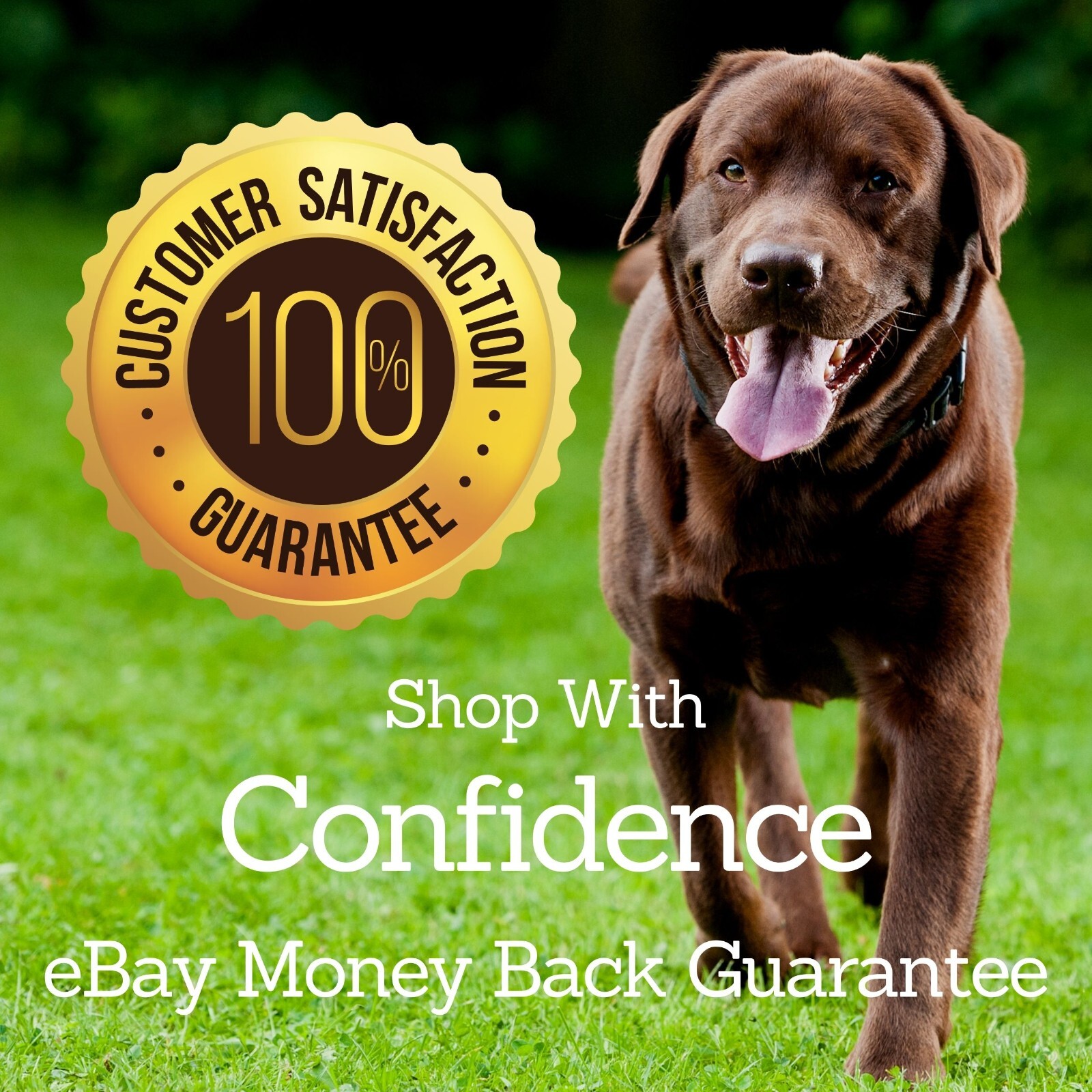 Advanced Calming Support for Dogs Stress Anxiety & Calms Behaviour, 120 ...