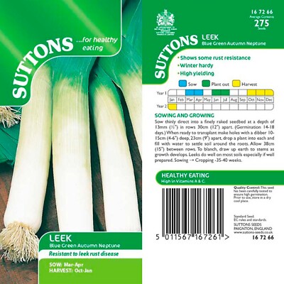 Suttons Leek Blue Green Autumn Neptune High Yielding Rust Resistant 275 ...