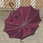 3 Vintage 1960s-70s Parasol Umbrellas Lot Nylon Acetate Rare Handle ...