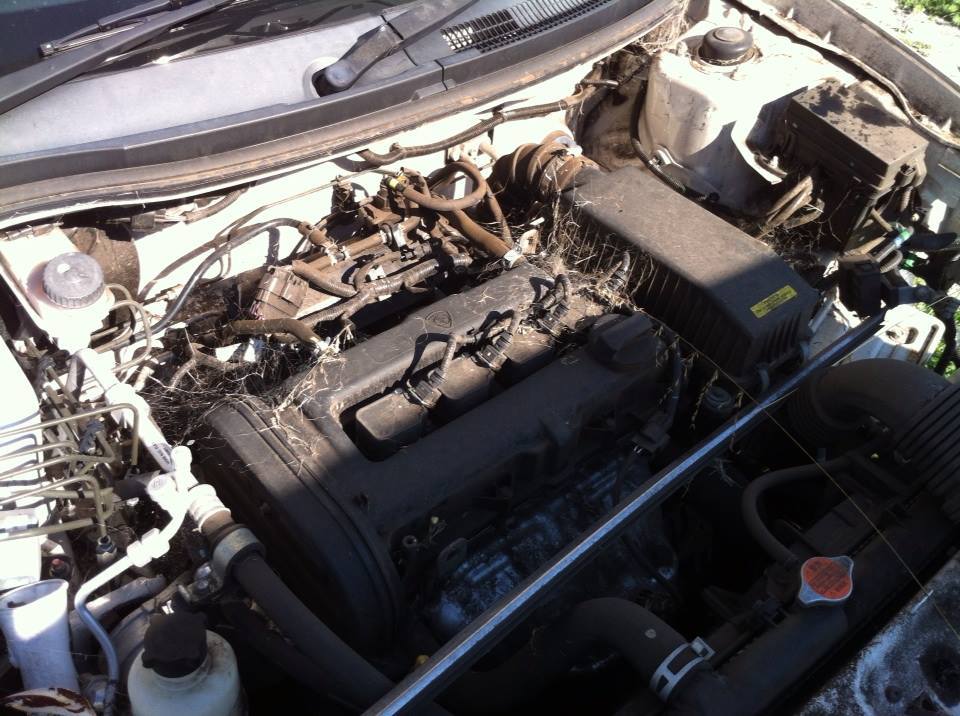 12/2009 to 12/2014 Proton S16 1.6L petrol - Engine 59,000kms S4PH | eBay