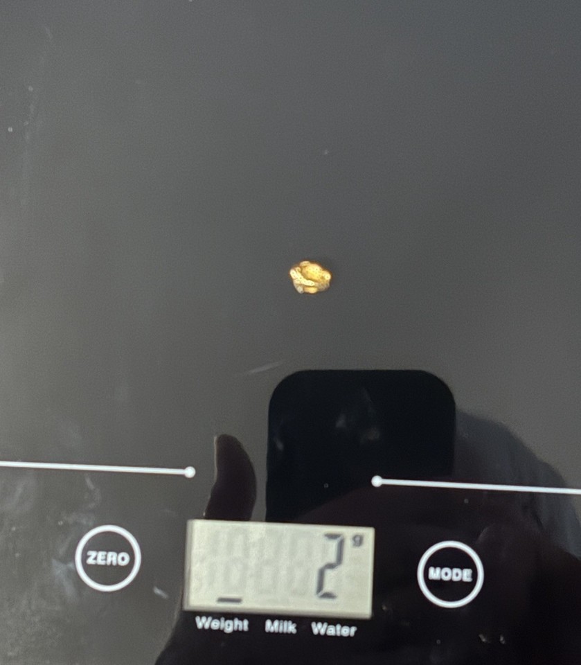 GOLD NUGGET 1.99 Grams ALASKAN YUKON BC NATURAL GENUINE 22k 1.99 Gram ...