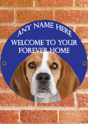 pnc642 Beagle Dog Welcome to your forever home plaque personalised card ...