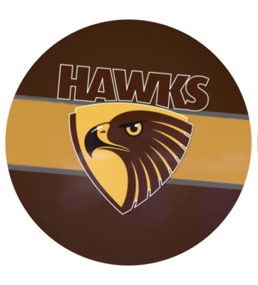 HAWTHORN/HAWKS Pin Badges (5.8 cm) | eBay Australia