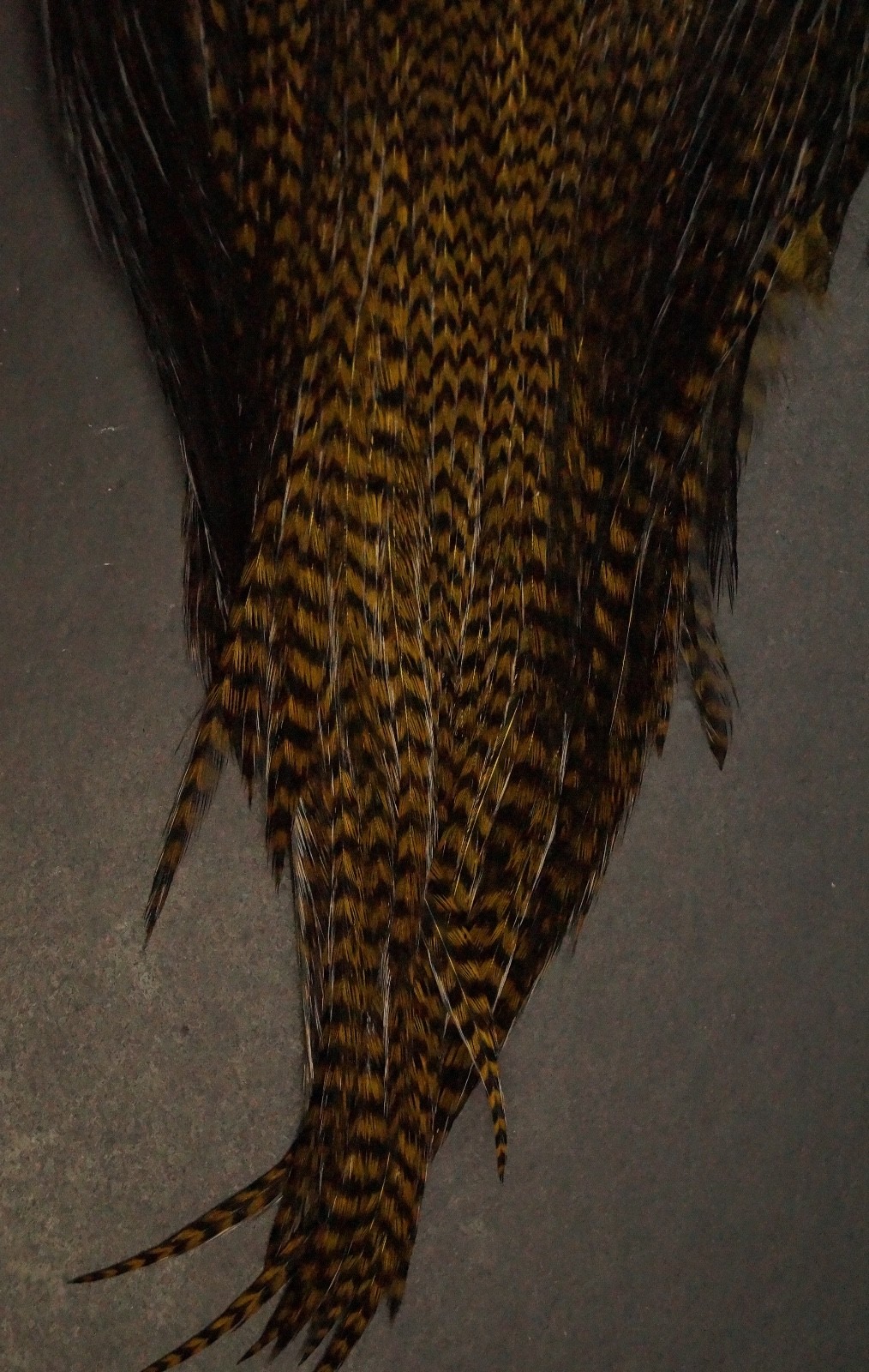 Commercial Keough Dyed Brown Olive Grizzly Neck Lot-SF 491 | eBay