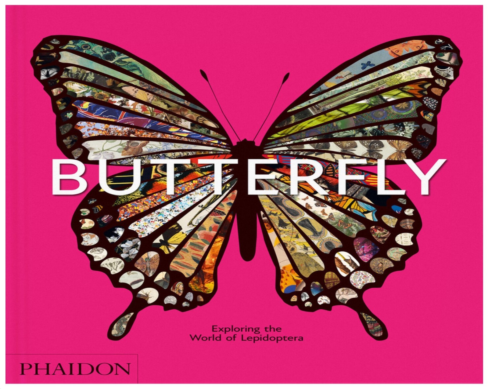 Butterfly: Exploring the World of Lepidoptera Hardcover, New by Phaidon Editors 9781838669379| eBay