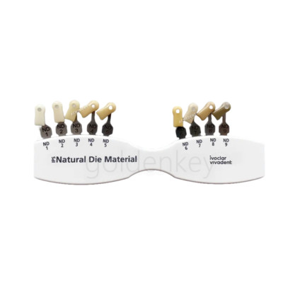 Dental A-D Shade Guide Bleach Natural Die Veneer Template | eBay