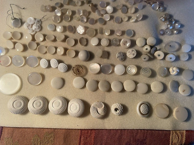 Vintage White buttons, all shank, 1 1/4" - 1/4" | eBay