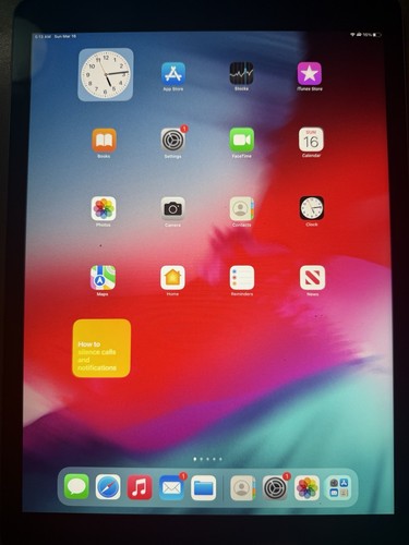 Apple iPad pro 12.9",A9X,256GB,(ML0T2LL/A)-Battery does not hold charge for long | eBay