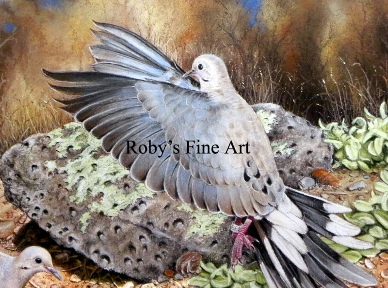 Mourning Doves Art Print "Flight 682" 5x7 Giclee by Realism Artist Roby ...