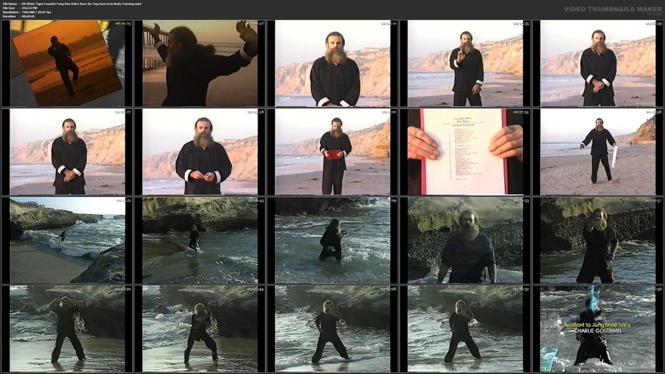 Mew Hing's 18 Daoist Palms System starring James Patrick Lacy (10 DVD ...