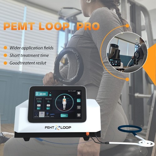 Protable PMST Loop EMTT PEMF Machine Magnetic Physio Therapy Massage ...