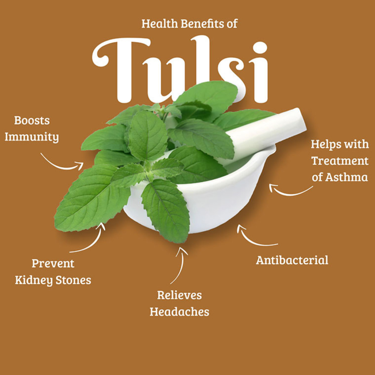 Tulsi Leaves Benefits