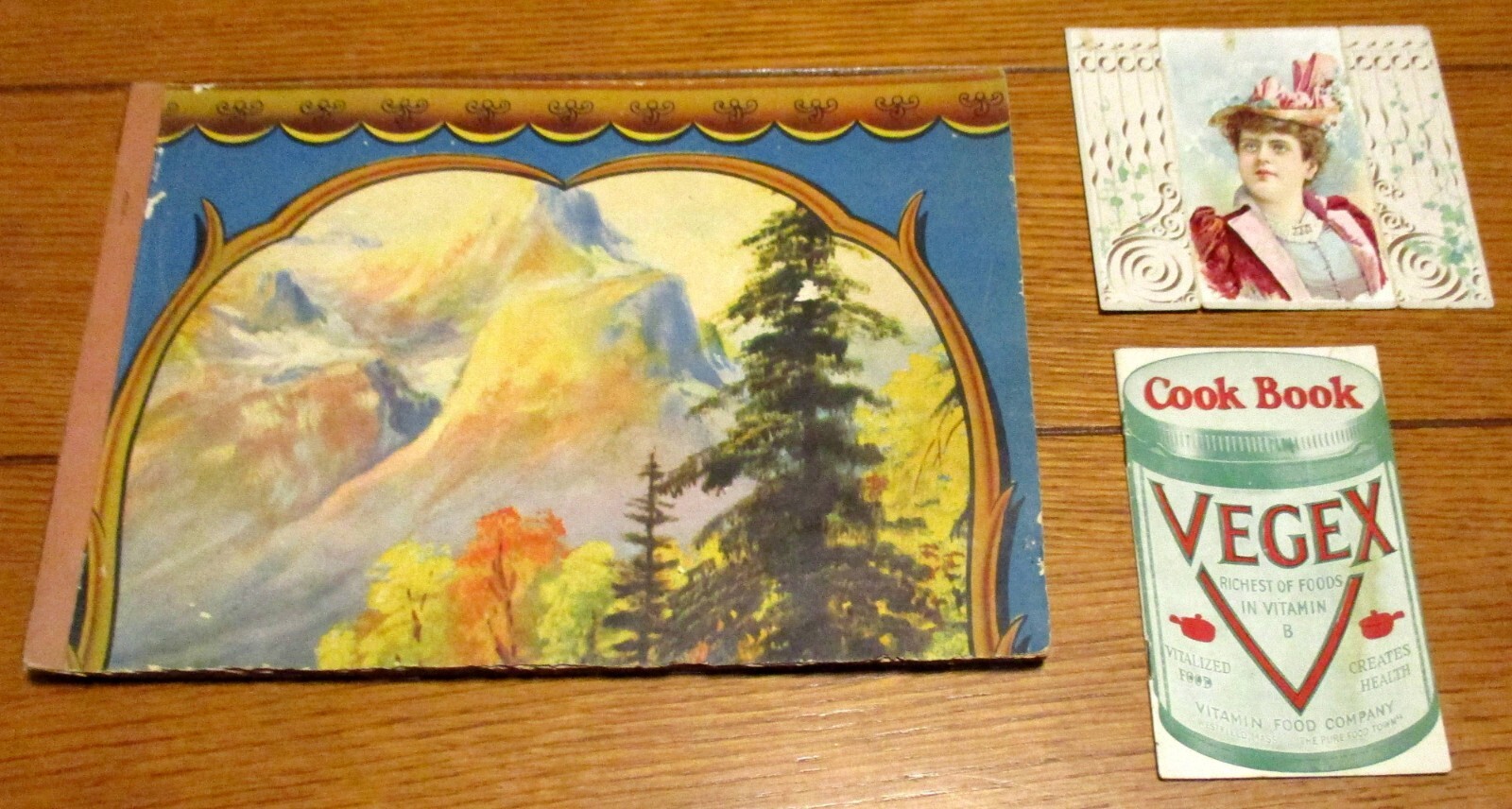 1923 Vegex Cook Book + Dukes Honest Advertising Card + Scrapbook of Mag ...