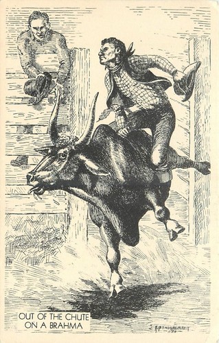 1920s Cowboy Rodeo line drawing art Western Litho Print Postcard 25 ...