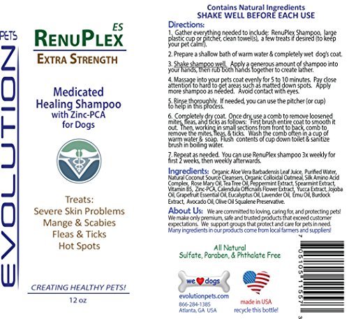 Antifungal Dog Mange Shampoo Medicated Renuplex Extra Strength Dogs ...