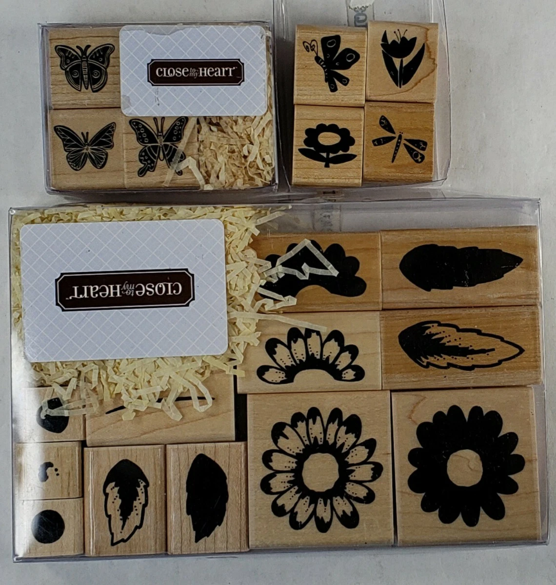 Whoops A Daisy Flowers | Best Flower Site