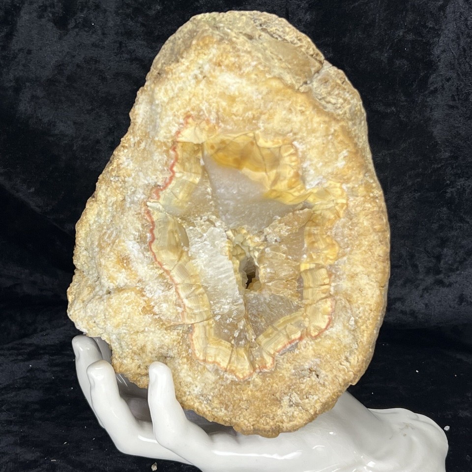 7” Large Geode Yellow Red Orange Chalcedony Agate Lapidary Rough 7.9Lb ...
