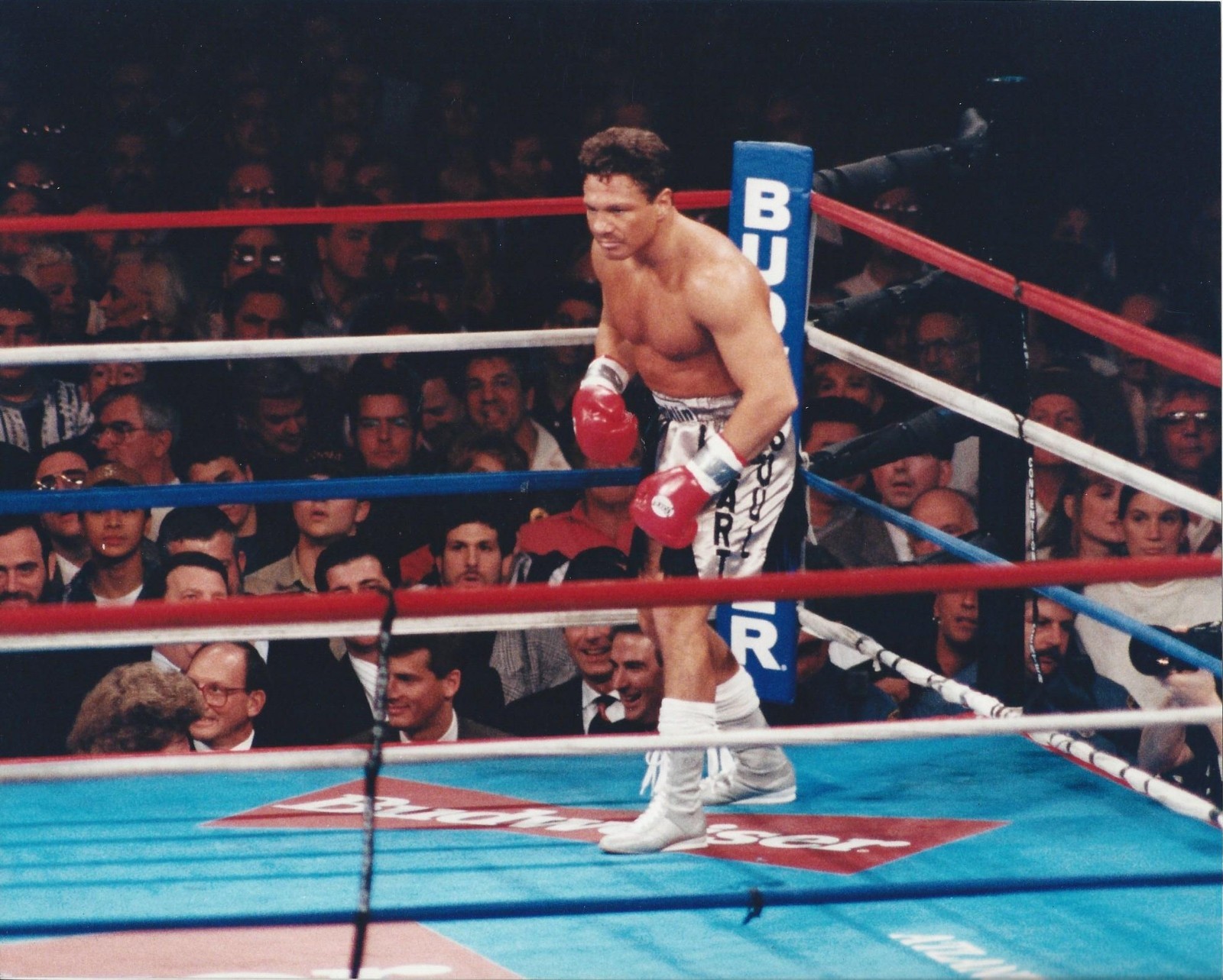 VINNY PAZIENZA 8X10 PHOTO BOXING PICTURE IN CORNER | eBay